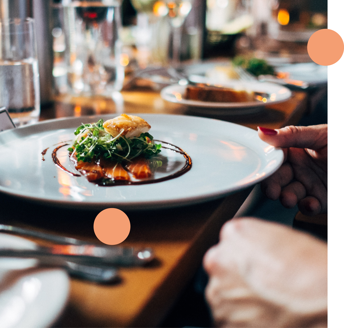 Packages - The Faraday Centre